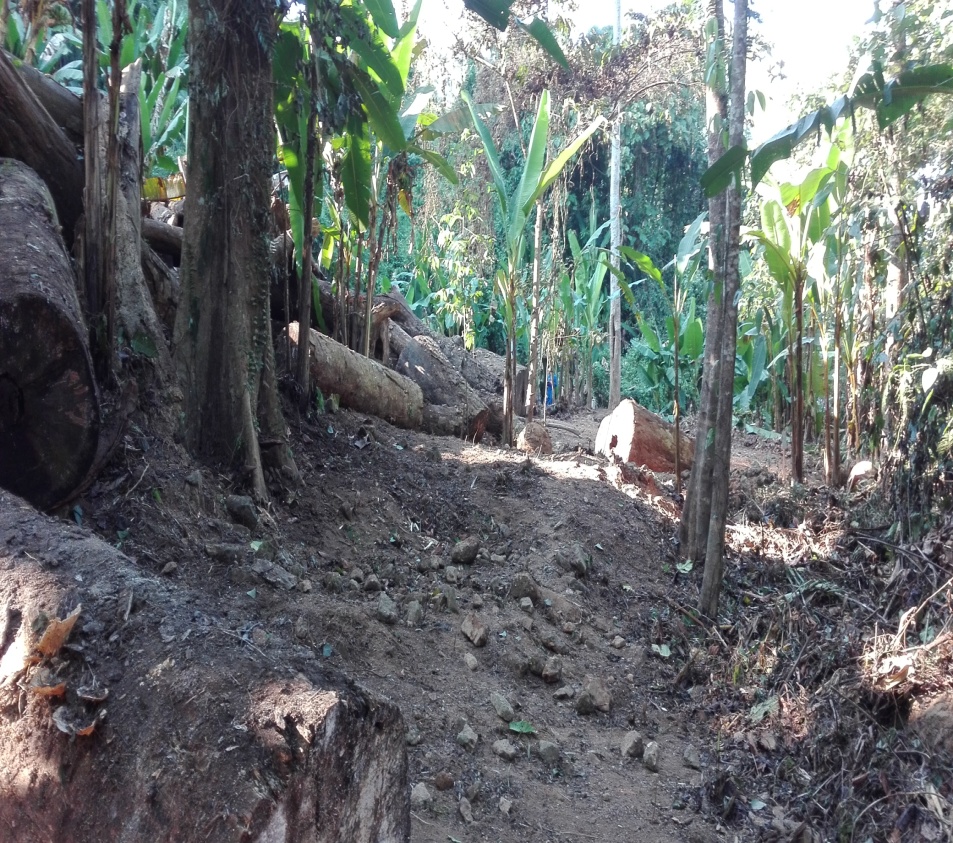 Projects | NLT Engineering Group Services Company | Myanmar